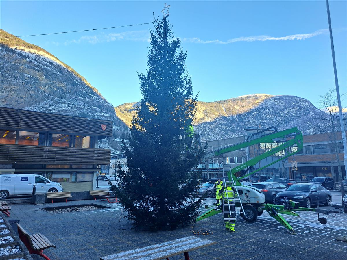 Juletreet på plass - klart for julegateopning og julemarknad - Lærdal ...